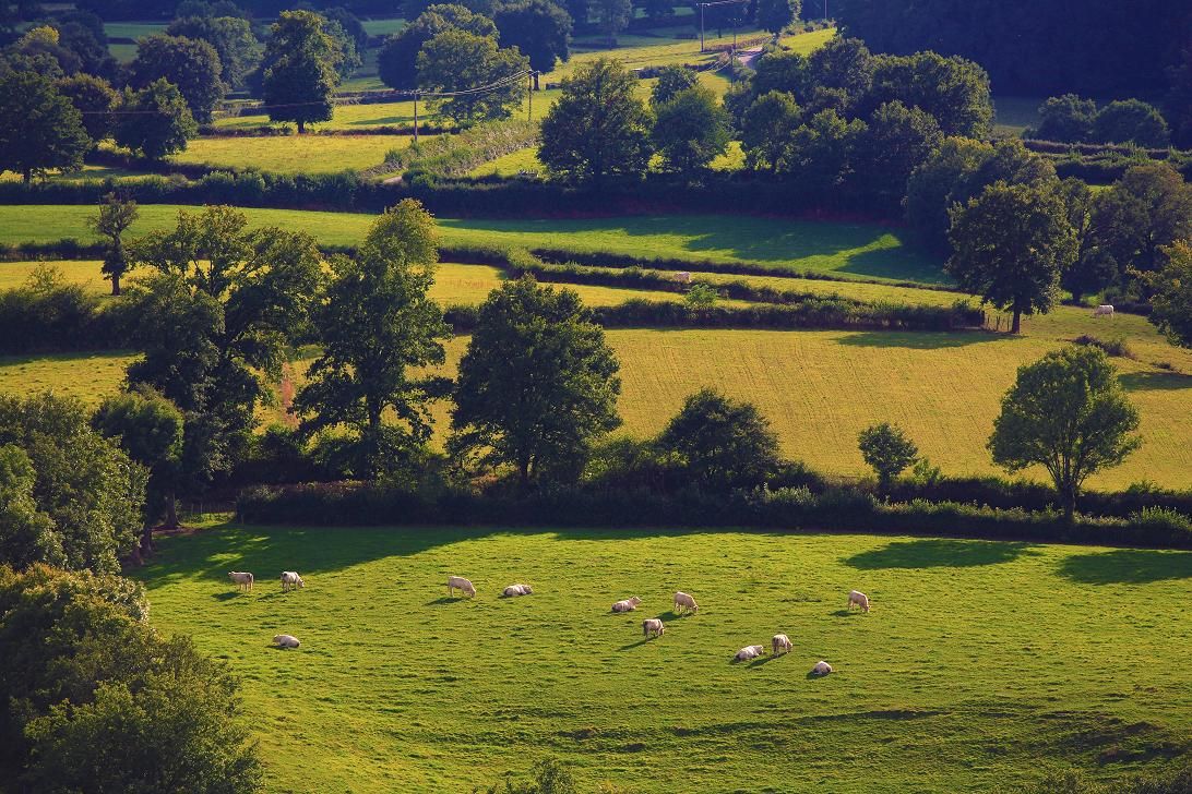 Allier Tourisme | Job Tourisme