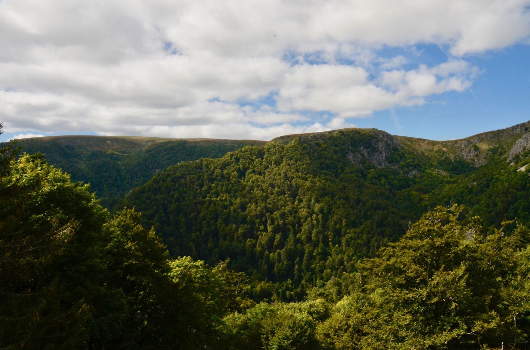 Office de Tourisme du Pays de Bitche | Job Tourisme